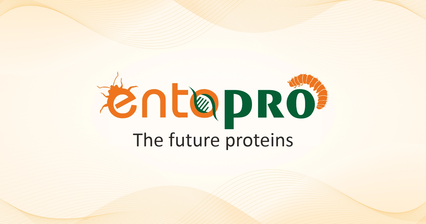 Sustainable Insect Protein for Poultry I Vinayak Ingredients